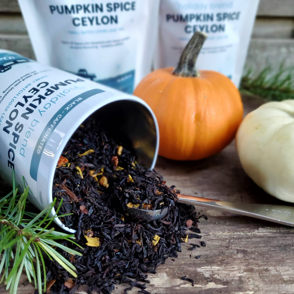 Pumpkin Spice Ceylon- Holiday Blend Davis Bay Tea Co. | Loose Leaf Teas ...